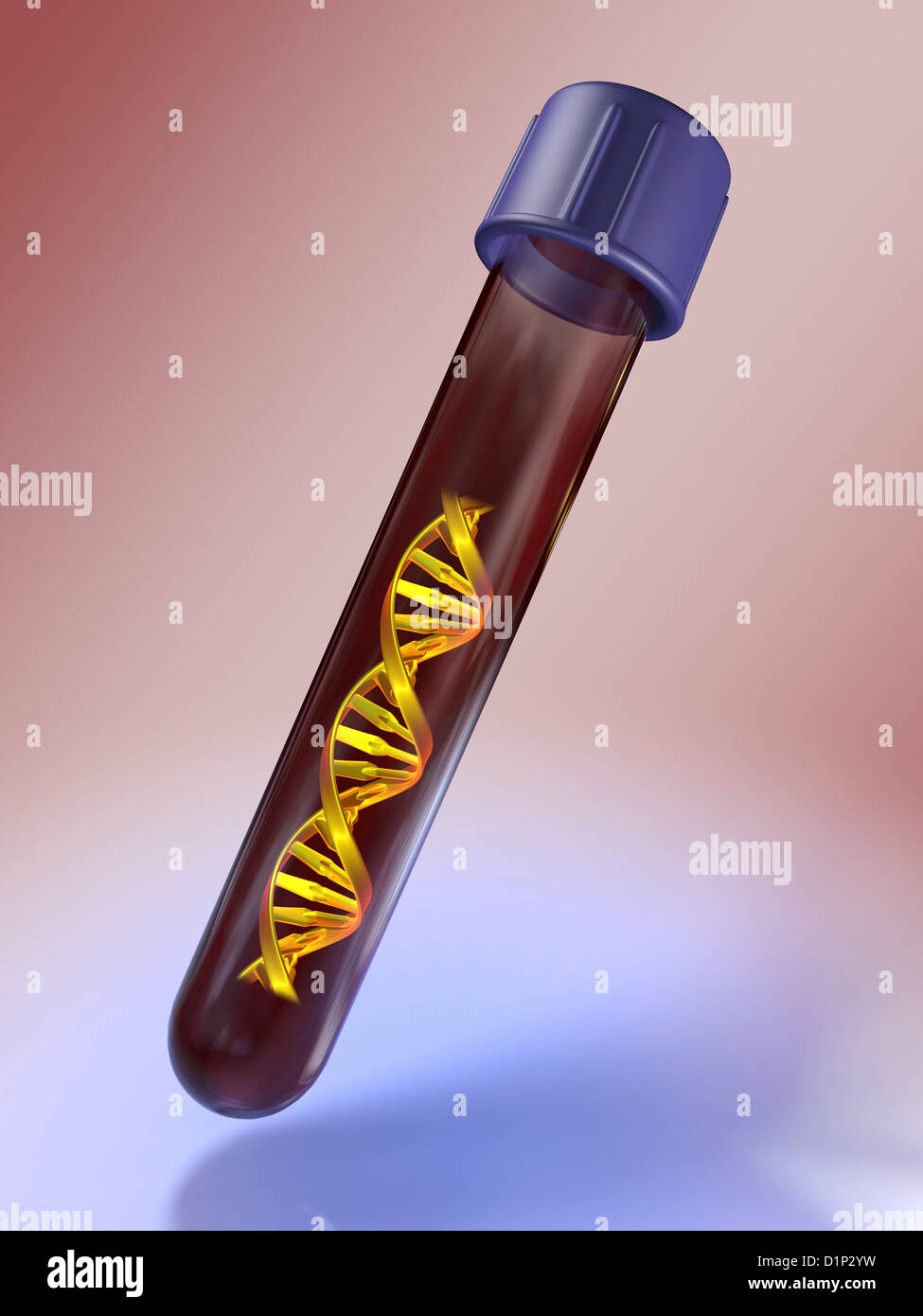 Dna profiling blood sample hi-res stock photography and images - Alamy