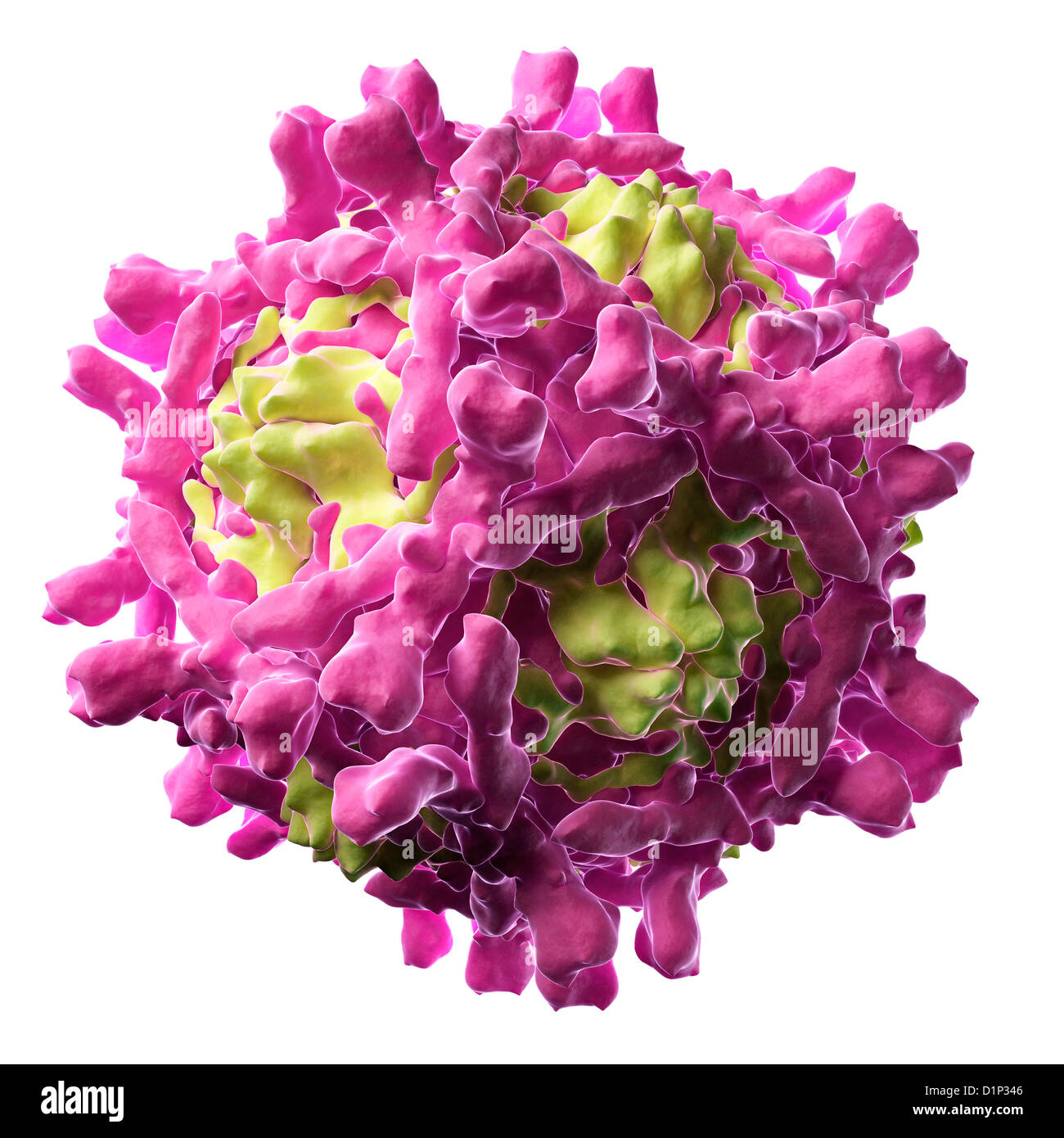 Echovirus particle Cut Out Stock Images & Pictures - Alamy