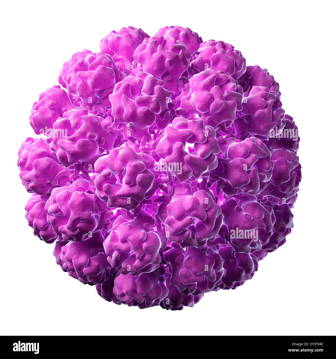 Polyomavirus hi-res stock photography and images - Alamy