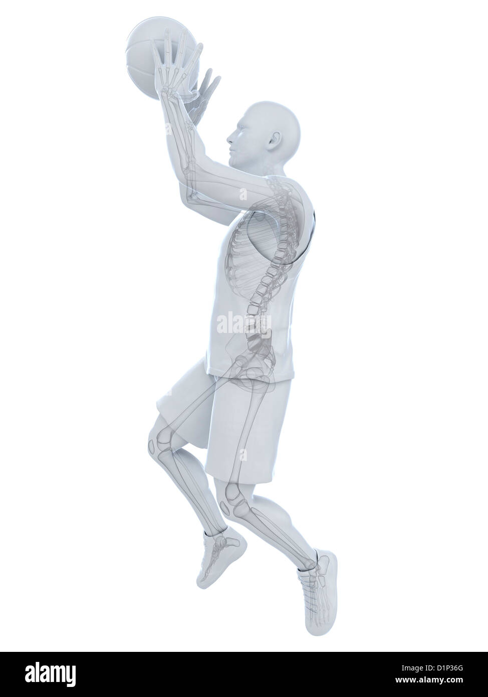 Full length portrait basketball player Cut Out Stock Images & Pictures ...