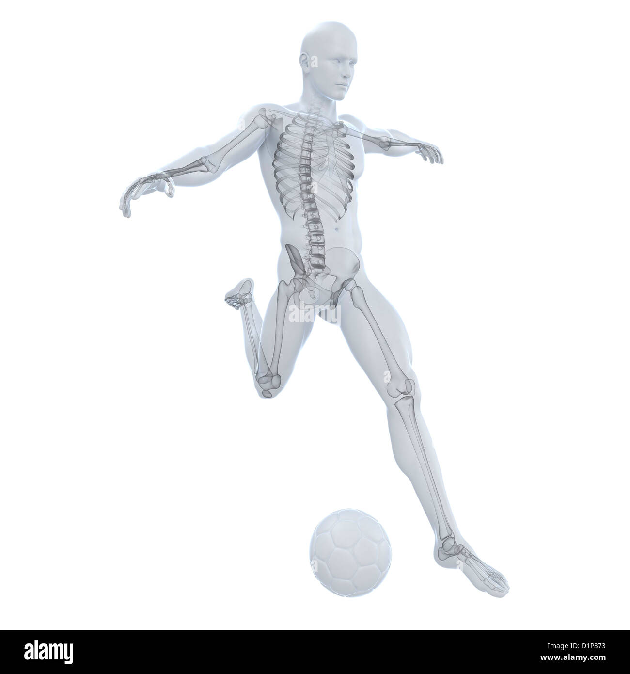Football Player Full Body High Resolution Stock Photography and Images ...