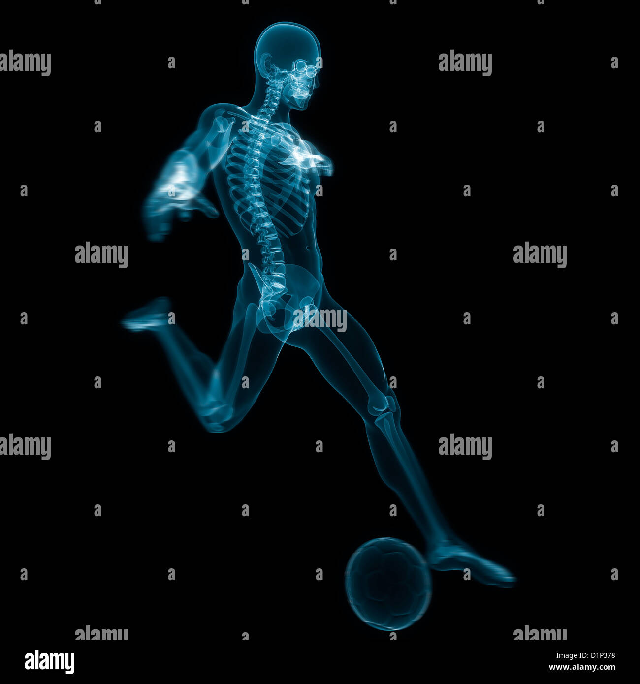 Football player full body hi-res stock photography and images - Alamy