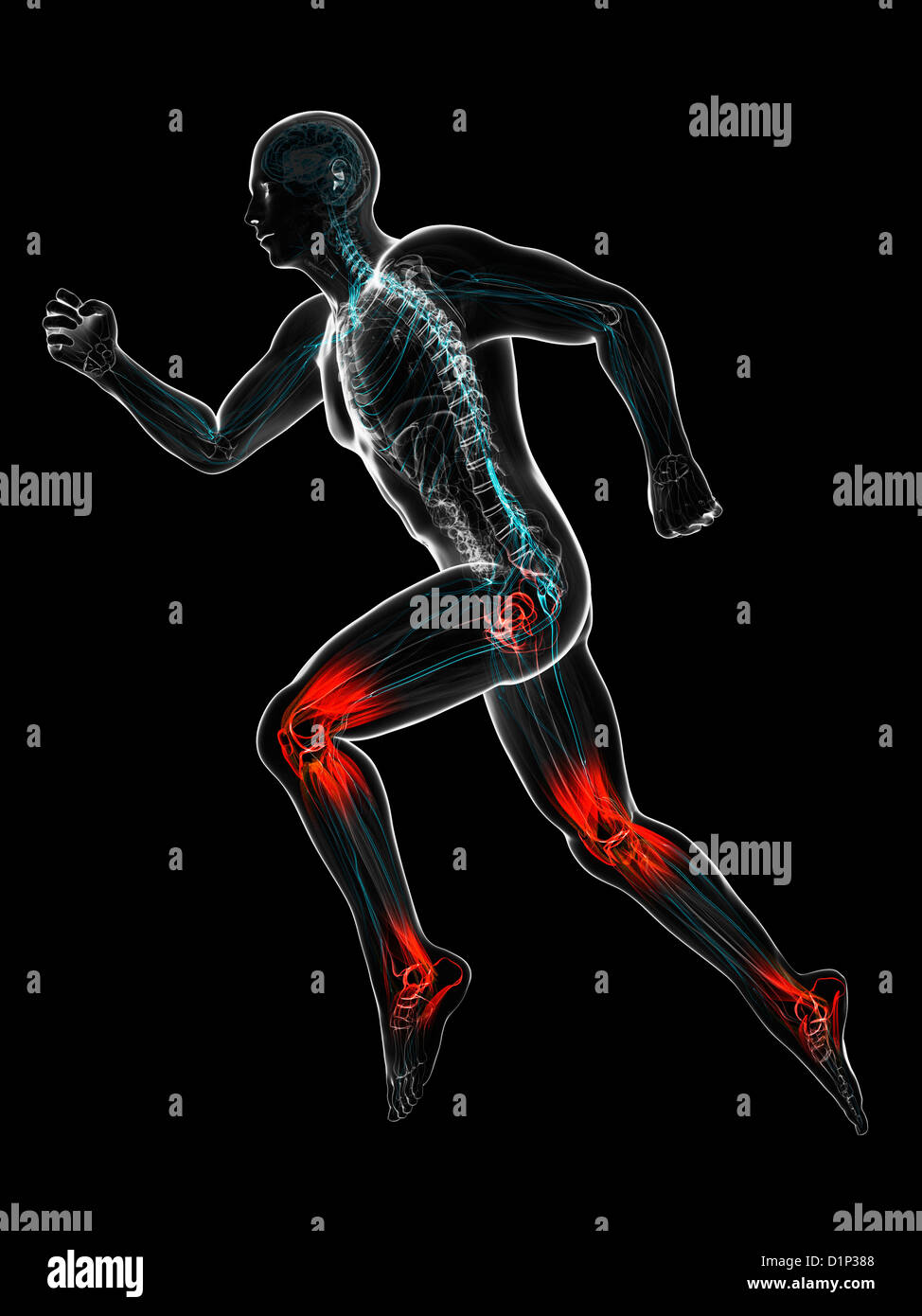Muscle injuries hi-res stock photography and images - Alamy