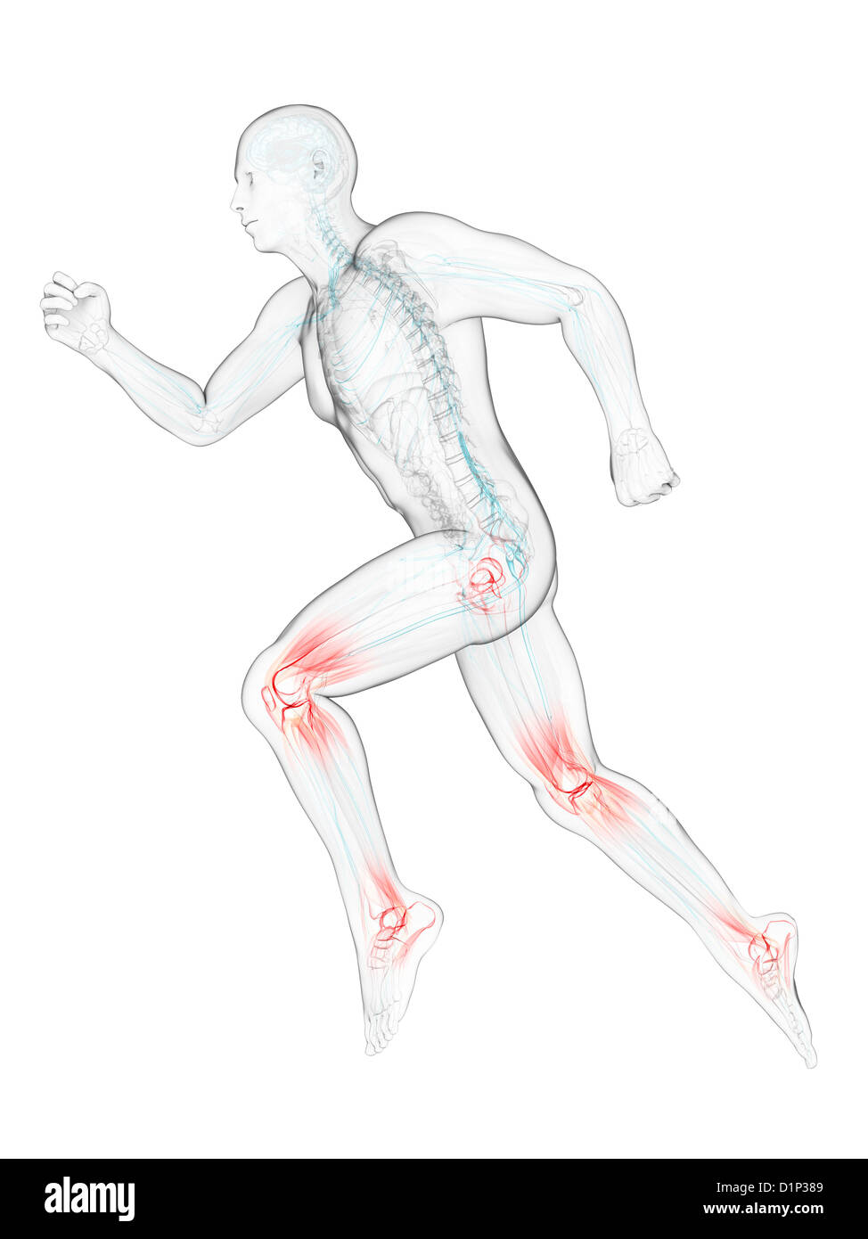 Muscle injuries hi-res stock photography and images - Alamy