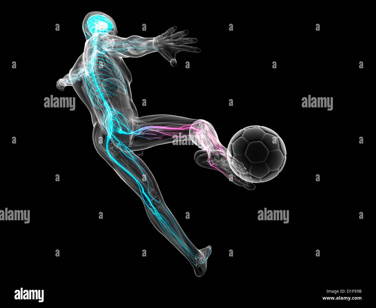 Football sport science hi-res stock photography and images - Alamy