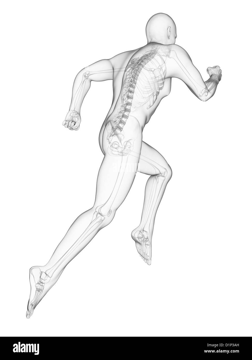 Arm raised anatomy Black and White Stock Photos & Images - Alamy