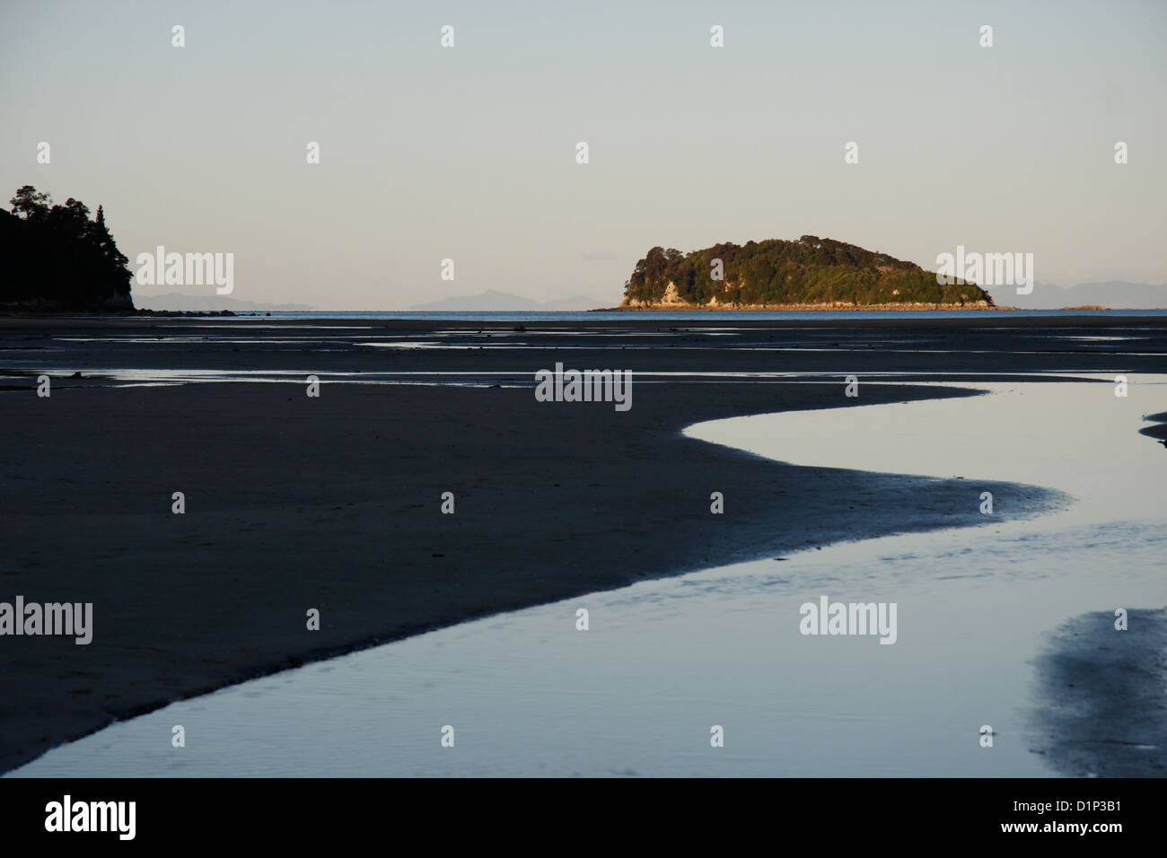 Receding tide on the coastal track in Abel Tasman National Park Stock ...