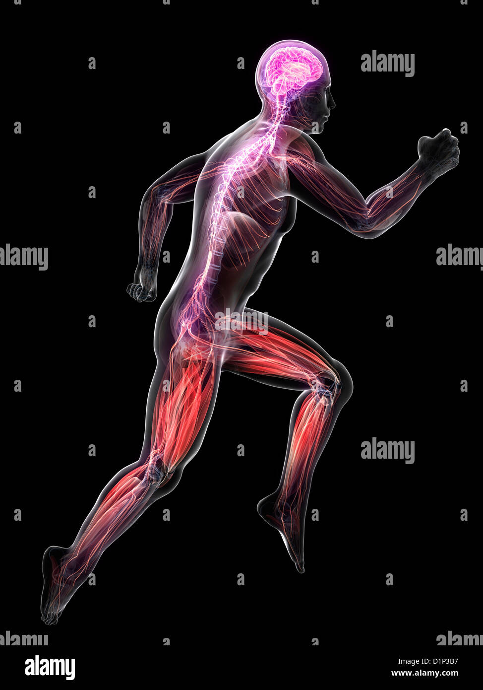 Sprinter artwork hi-res stock photography and images - Alamy