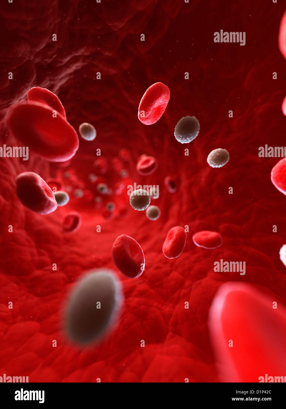 Blood stream, artwork Stock Photo - Alamy