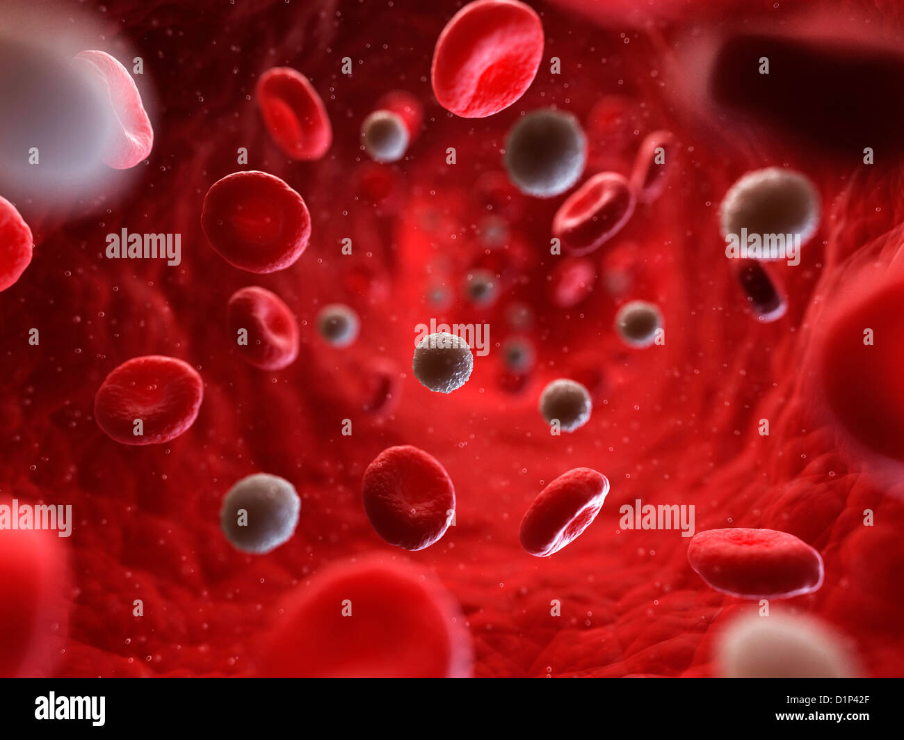 Blood stream, artwork Stock Photo - Alamy