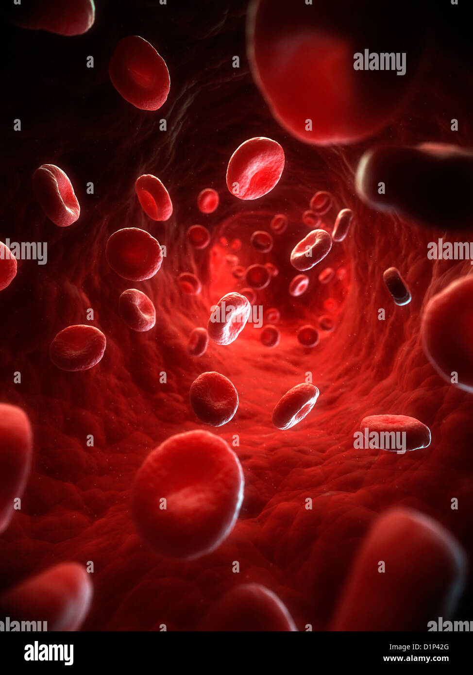 Red blood cells, artwork Stock Photo - Alamy
