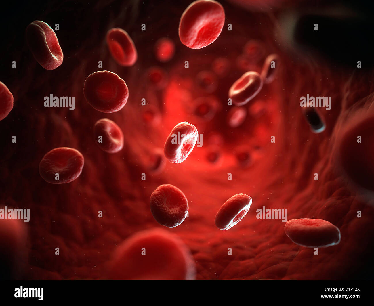 Red blood cell hi-res stock photography and images - Alamy