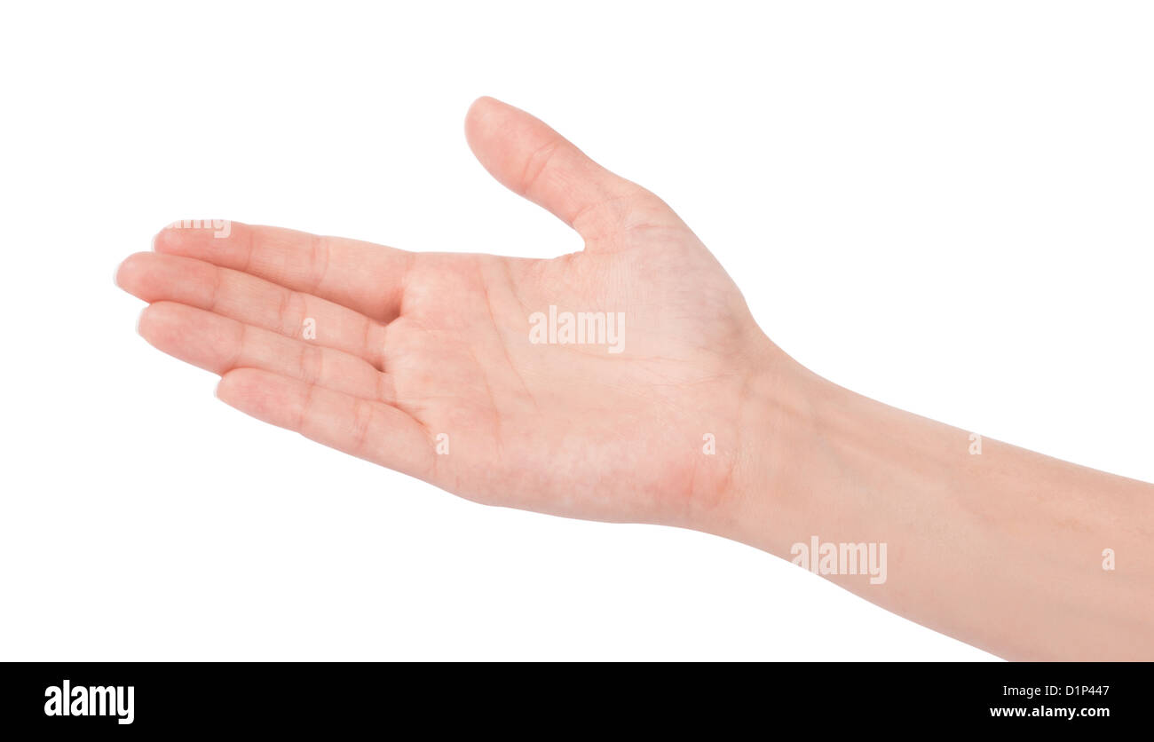 Empty open woman hand on white background Stock Photo - Alamy