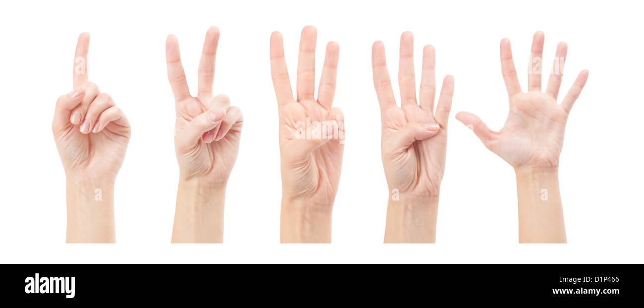 Counting woman hands (1 to 5) isolated on white background Stock Photo ...
