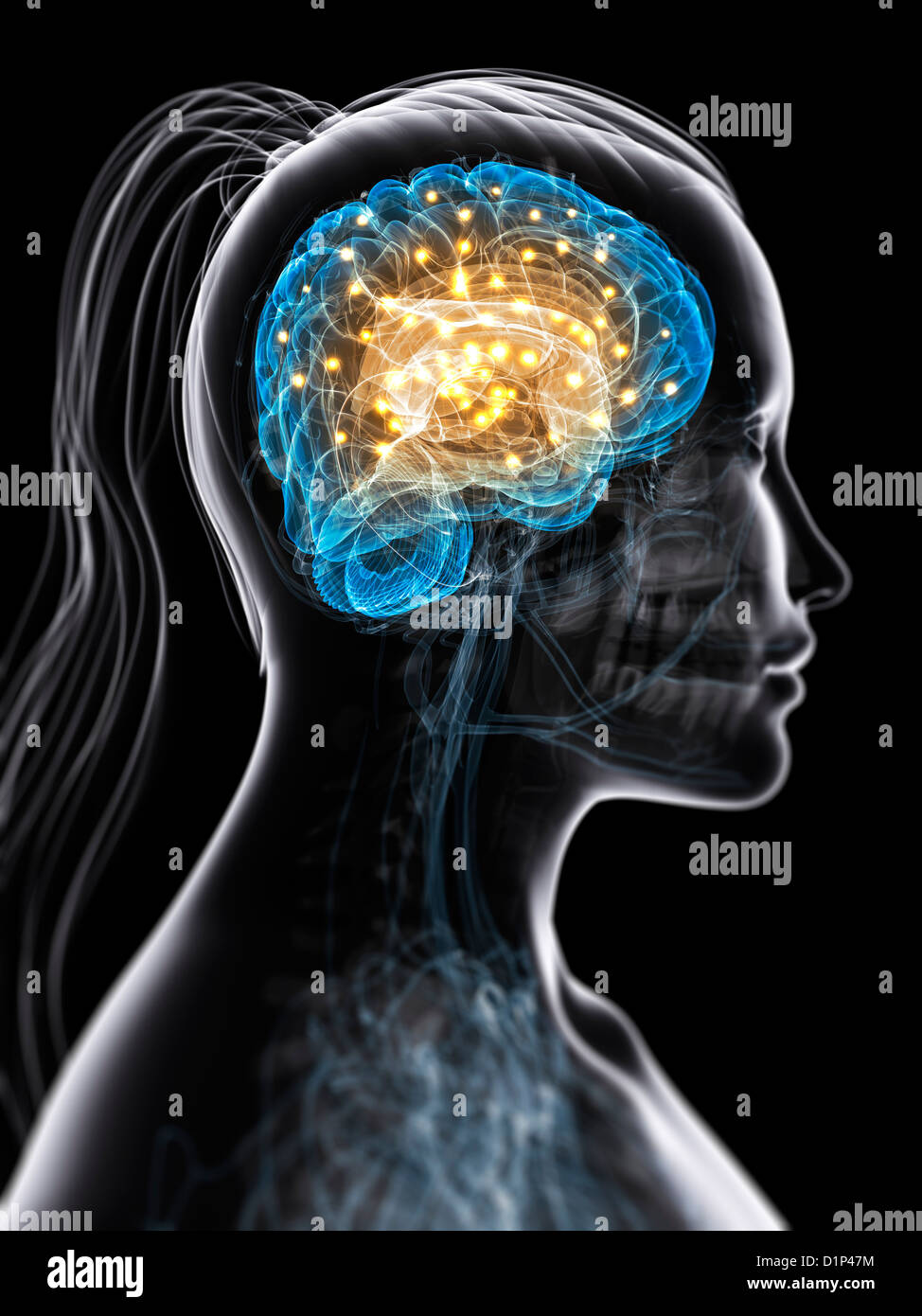 Brain activity hi-res stock photography and images - Alamy