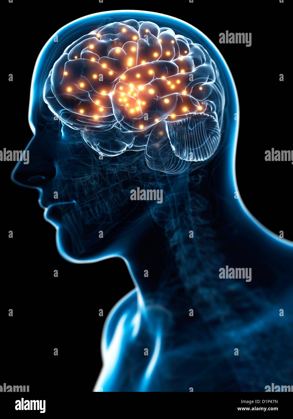 Brain Activity Stock Photos & Brain Activity Stock Images - Alamy