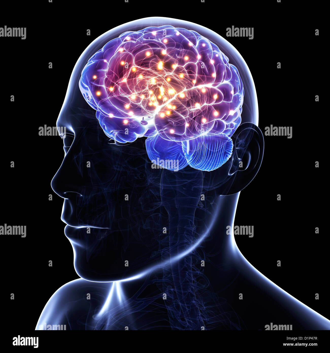 Brain activity hi-res stock photography and images - Alamy