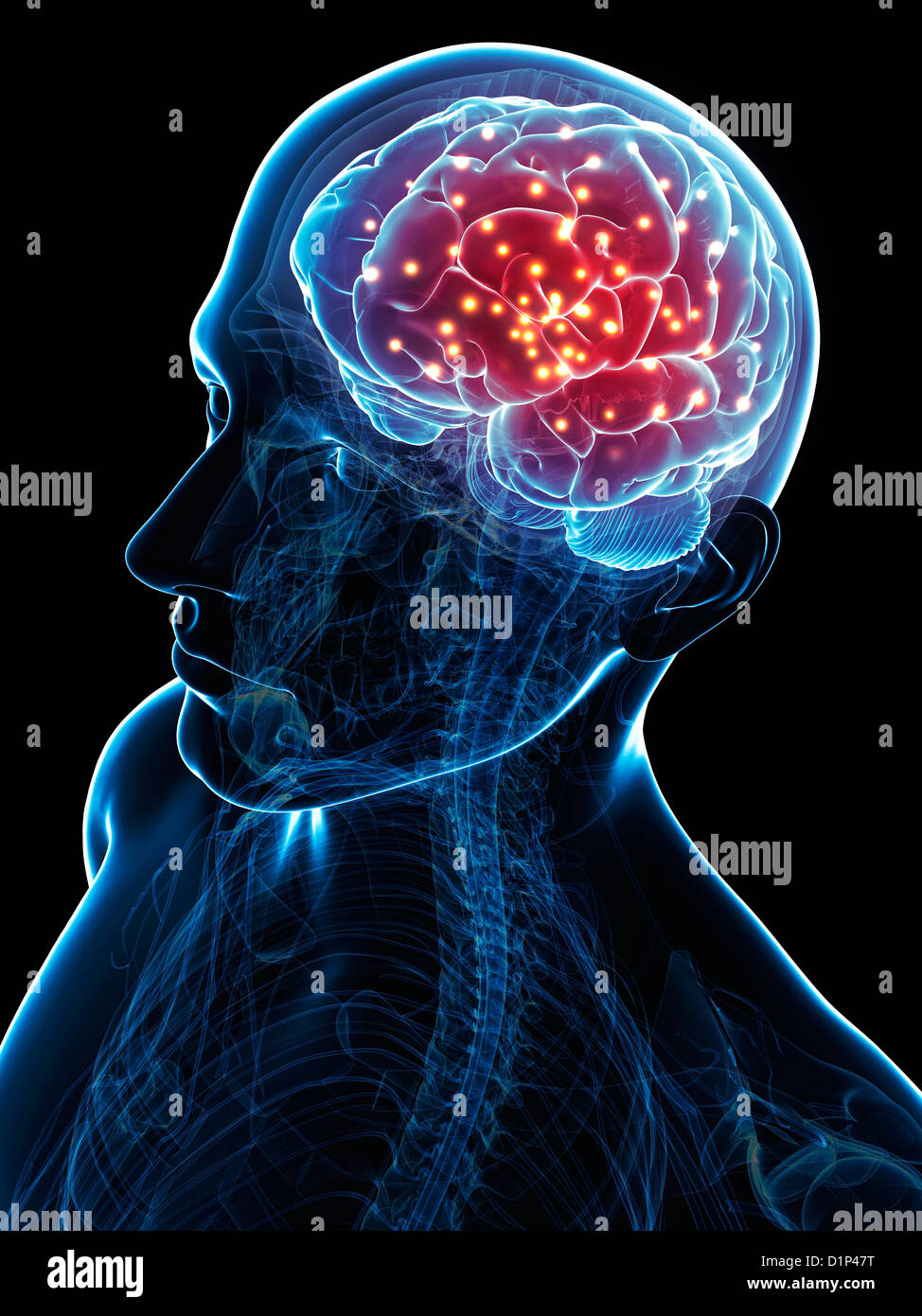 Brain activity hi-res stock photography and images - Alamy