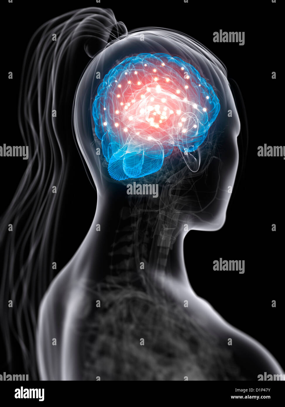 Brain Activity Stock Photos & Brain Activity Stock Images - Alamy Brain Activity Stock Photos & Brain Activity Stock Images - Alamy