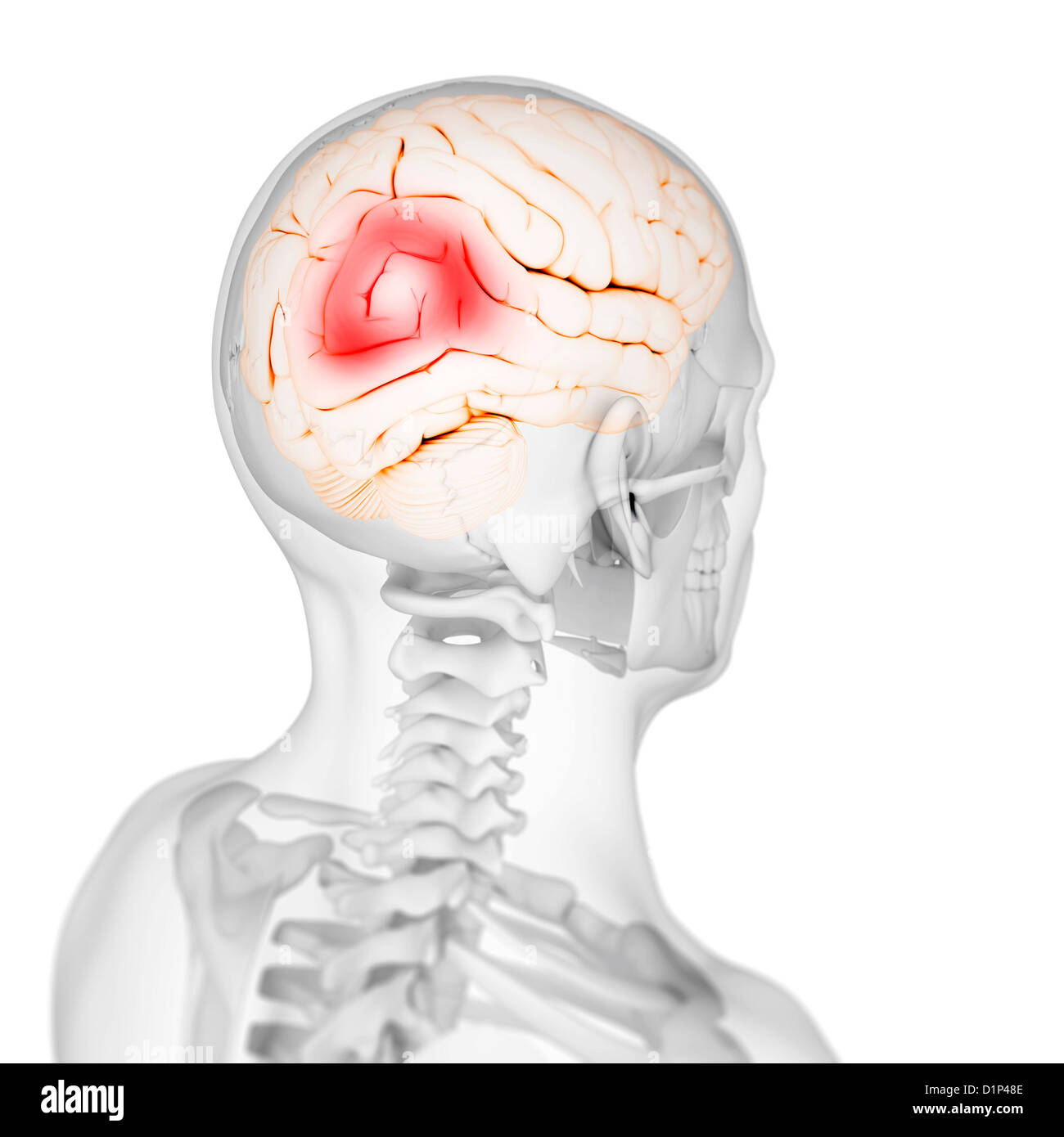 Skull computer artwork Cut Out Stock Images & Pictures - Alamy