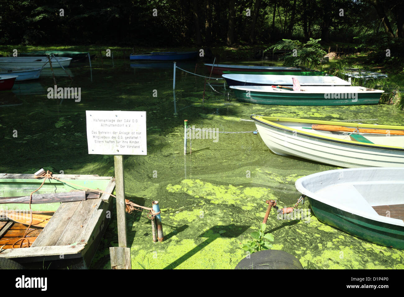 Rowing Boats at Lake Grimnitz in Brandenburg, Germany Stock Photo - Alamy