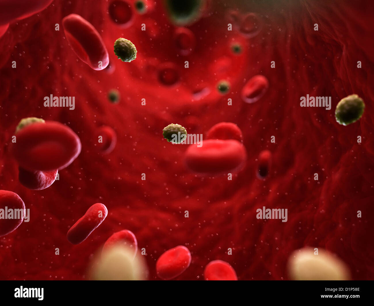 Smallpox hi-res stock photography and images - Alamy