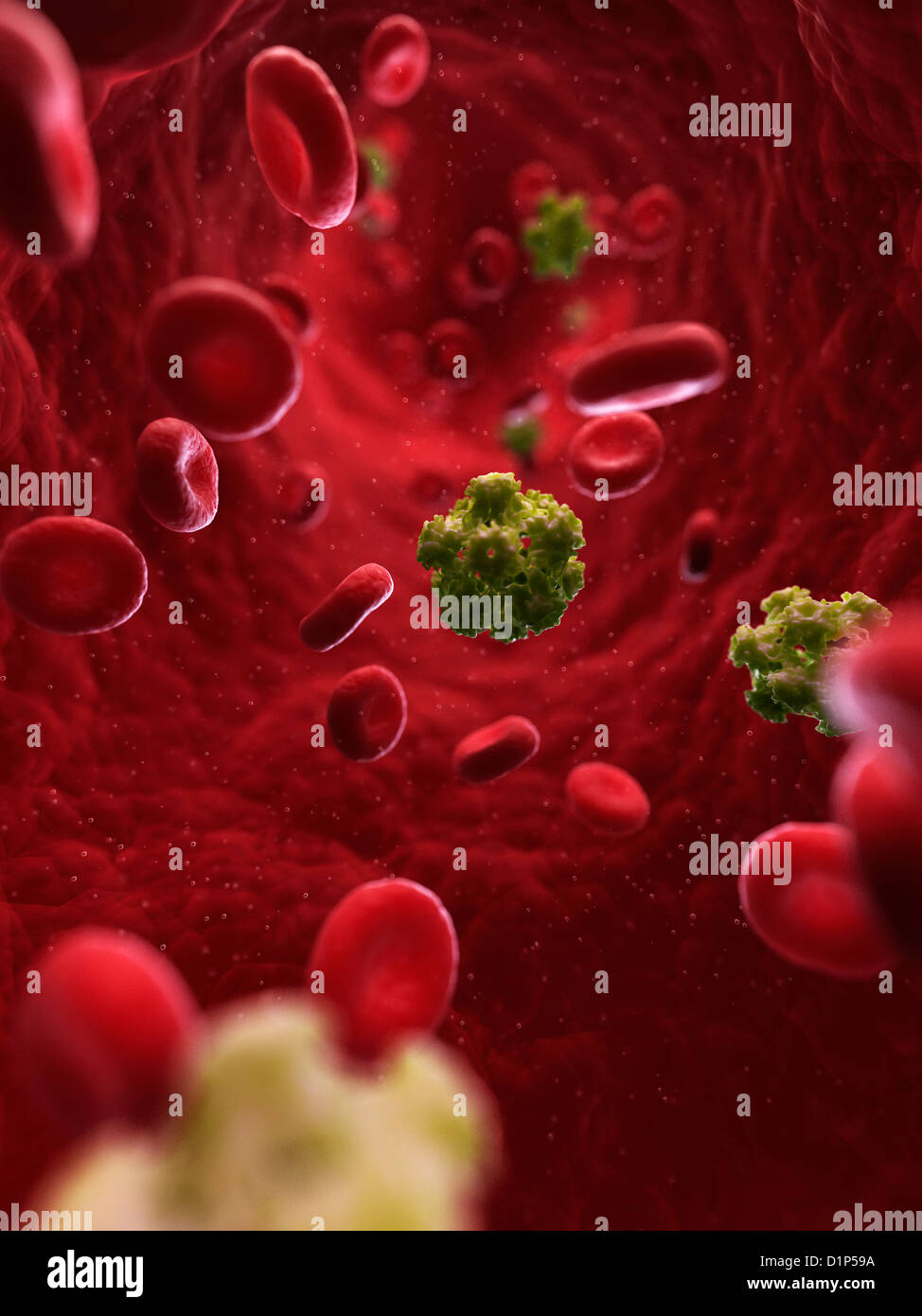 HPV infection, artwork Stock Photo - Alamy