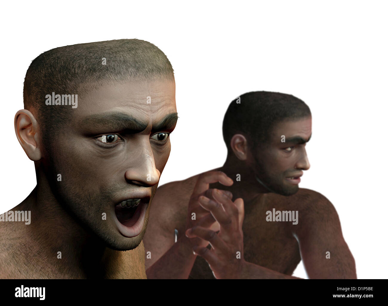 Neanderthal life hi-res stock photography and images - Alamy