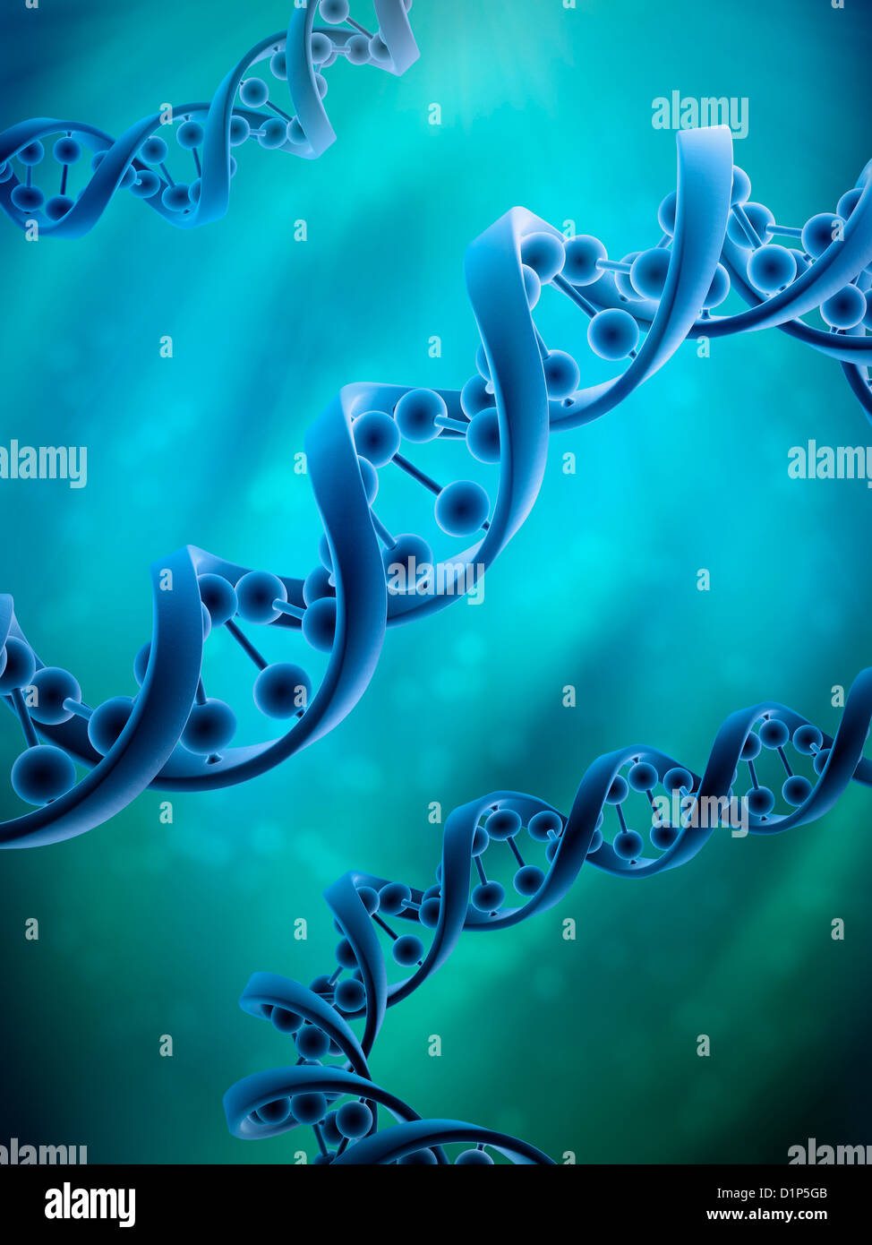 DNA molecules, artwork Stock Photo - Alamy