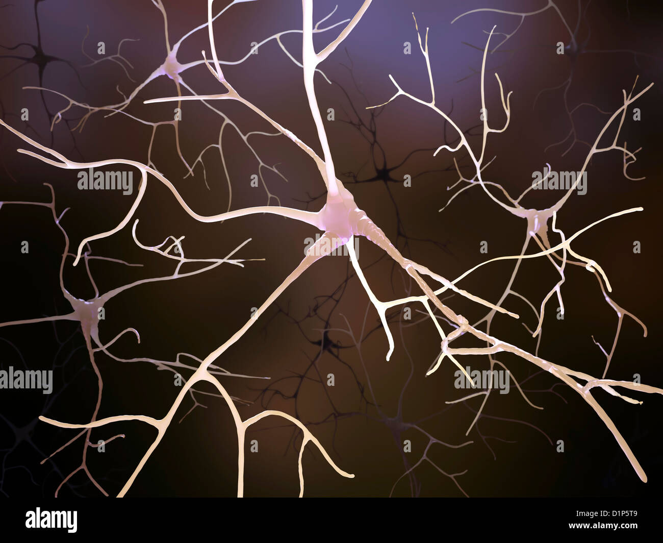 Nerve cell artwork science hi-res stock photography and images - Alamy