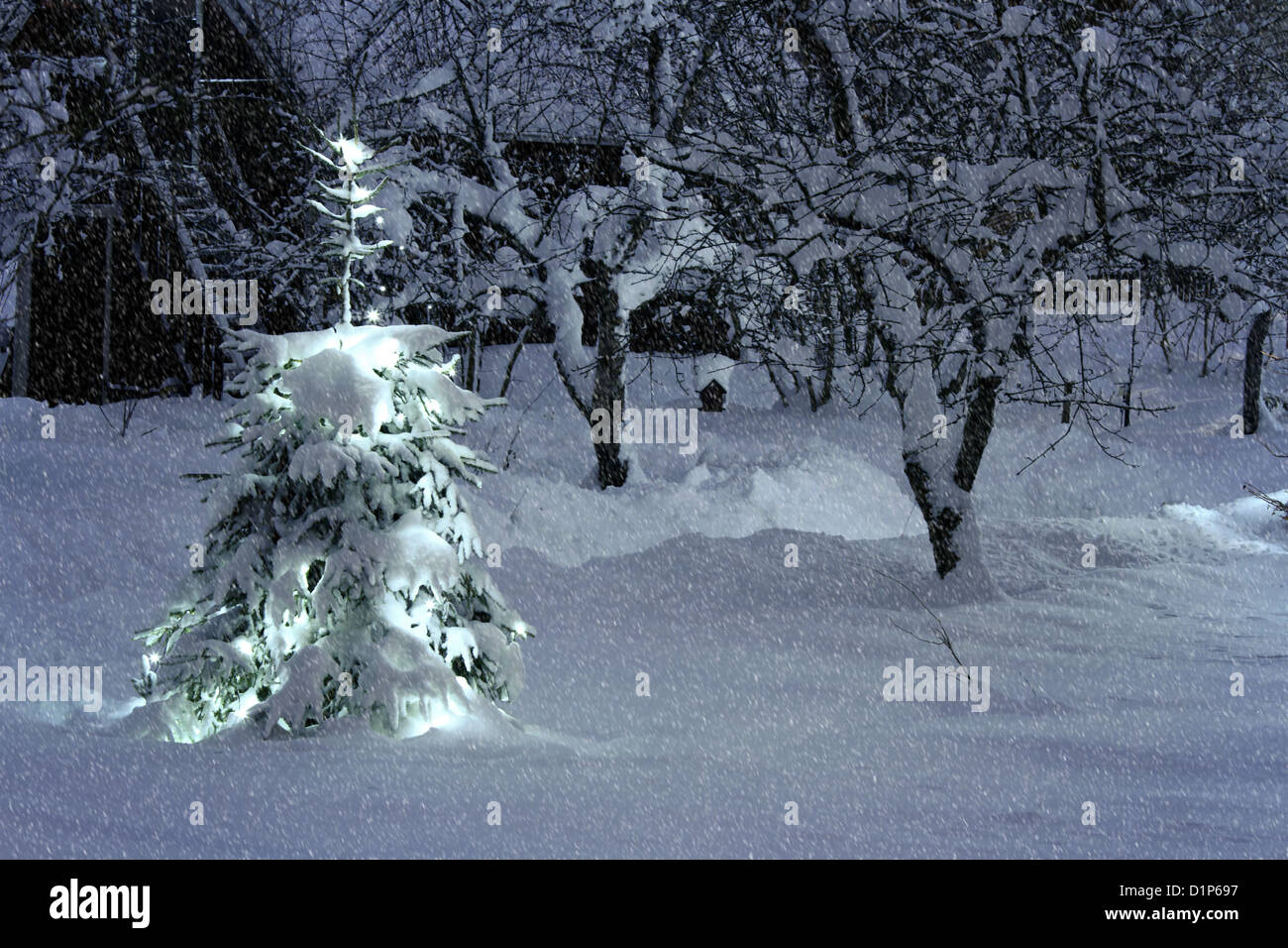 Christmas tree outside in snowy garden with heavy snowfall Stock Photo ...