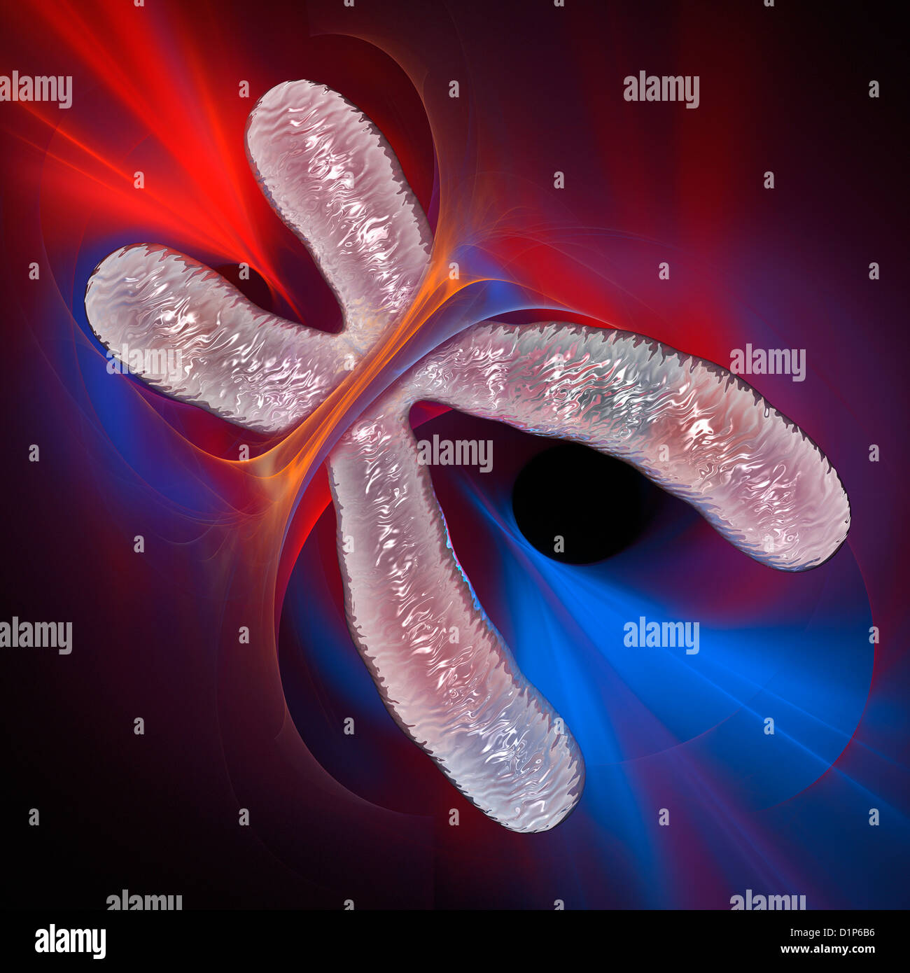 Chromosome pairing hi-res stock photography and images - Alamy