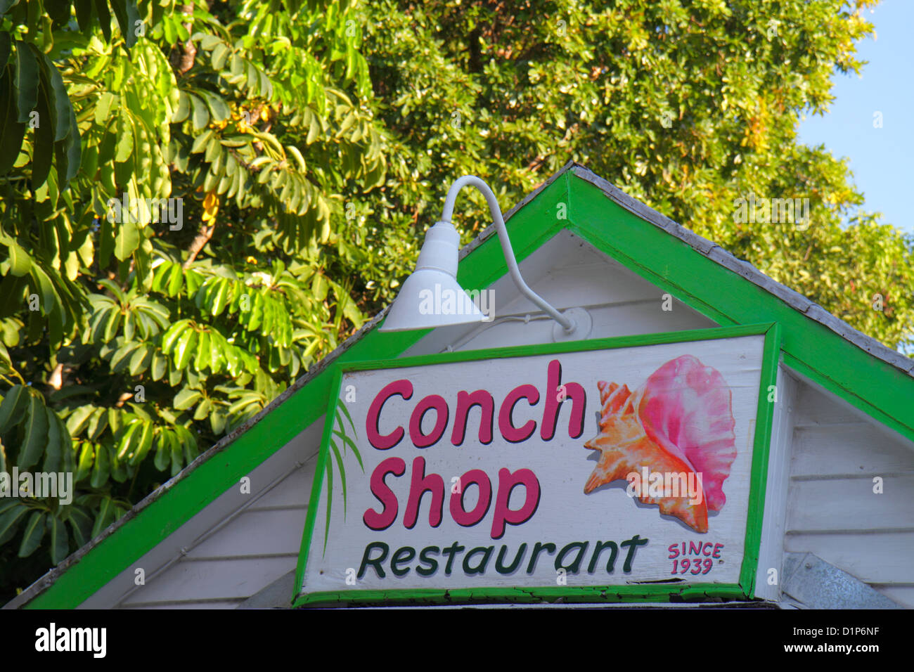 Conch logo hi-res stock photography and images - Alamy