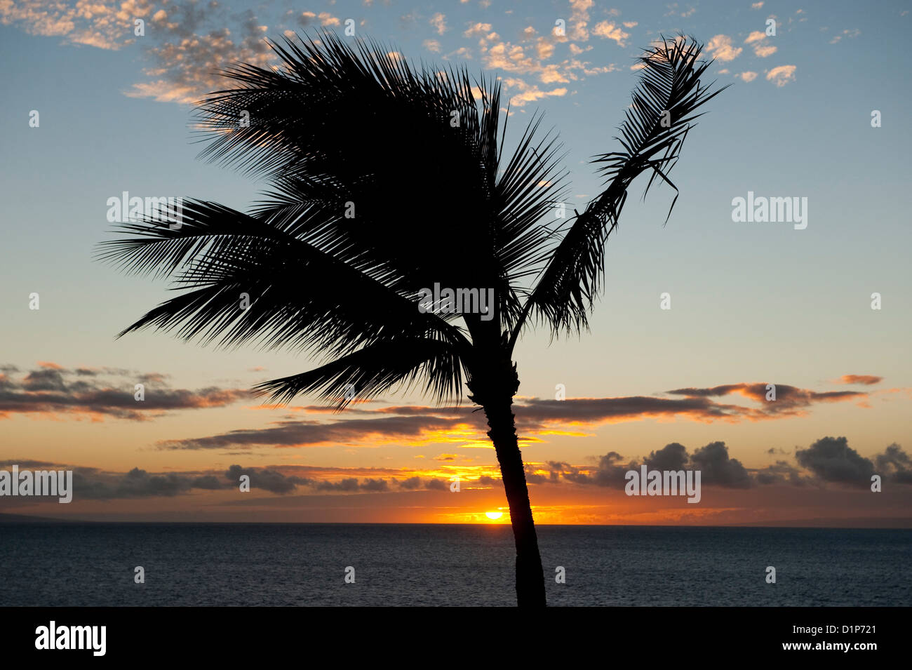 Big Island in Hawaii Sunset Stock Photo - Alamy