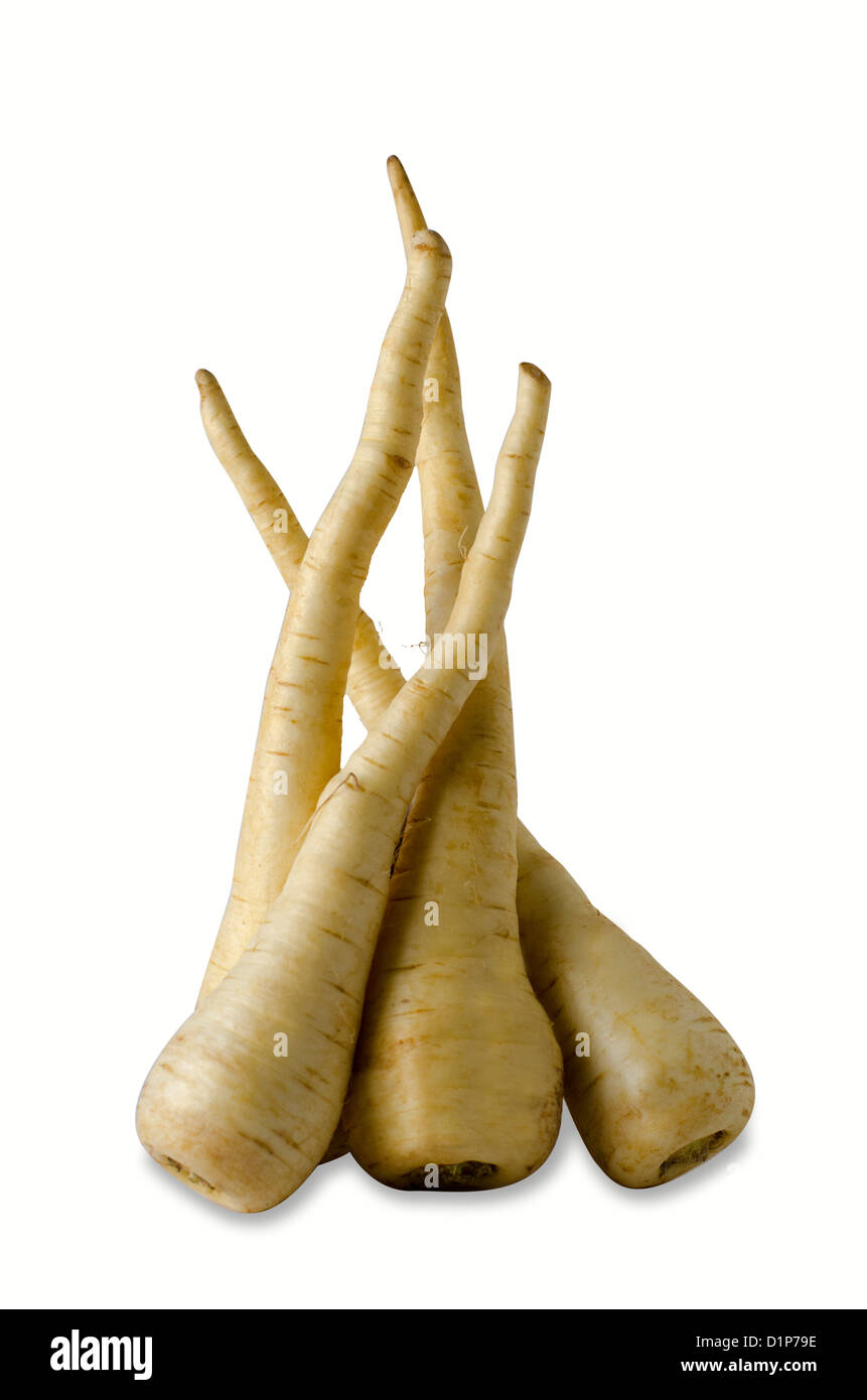 Parsnip Leaves Root High Resolution Stock Photography and Images - Alamy