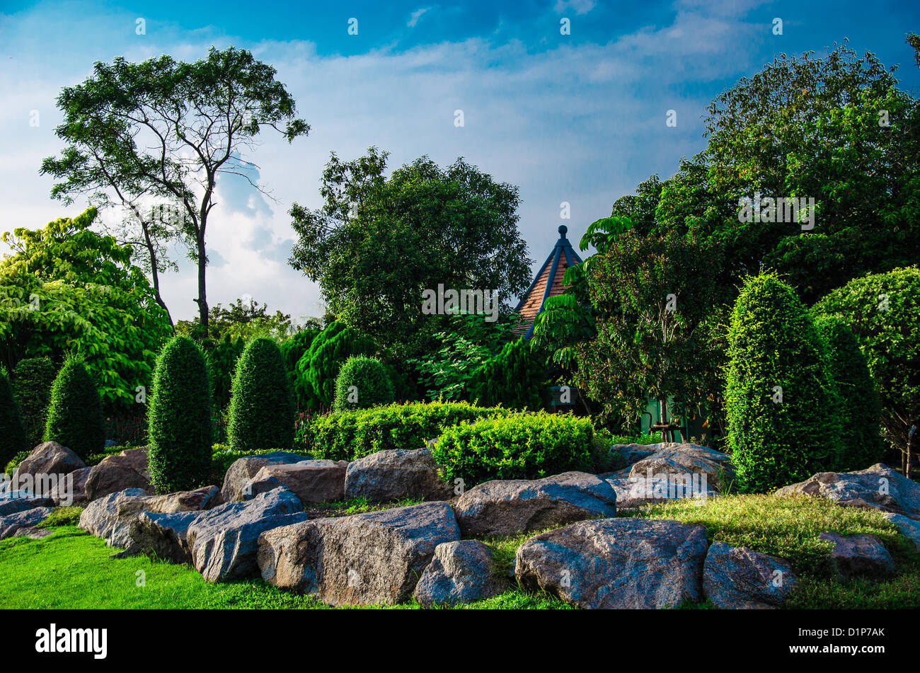 Green tree with stone hi-res stock photography and images - Alamy