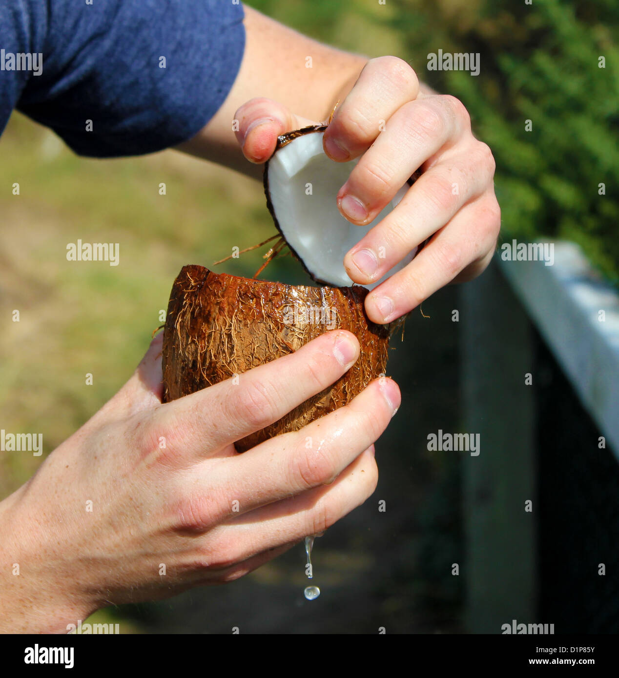Coconut open with milk hi-res stock photography and images - Alamy