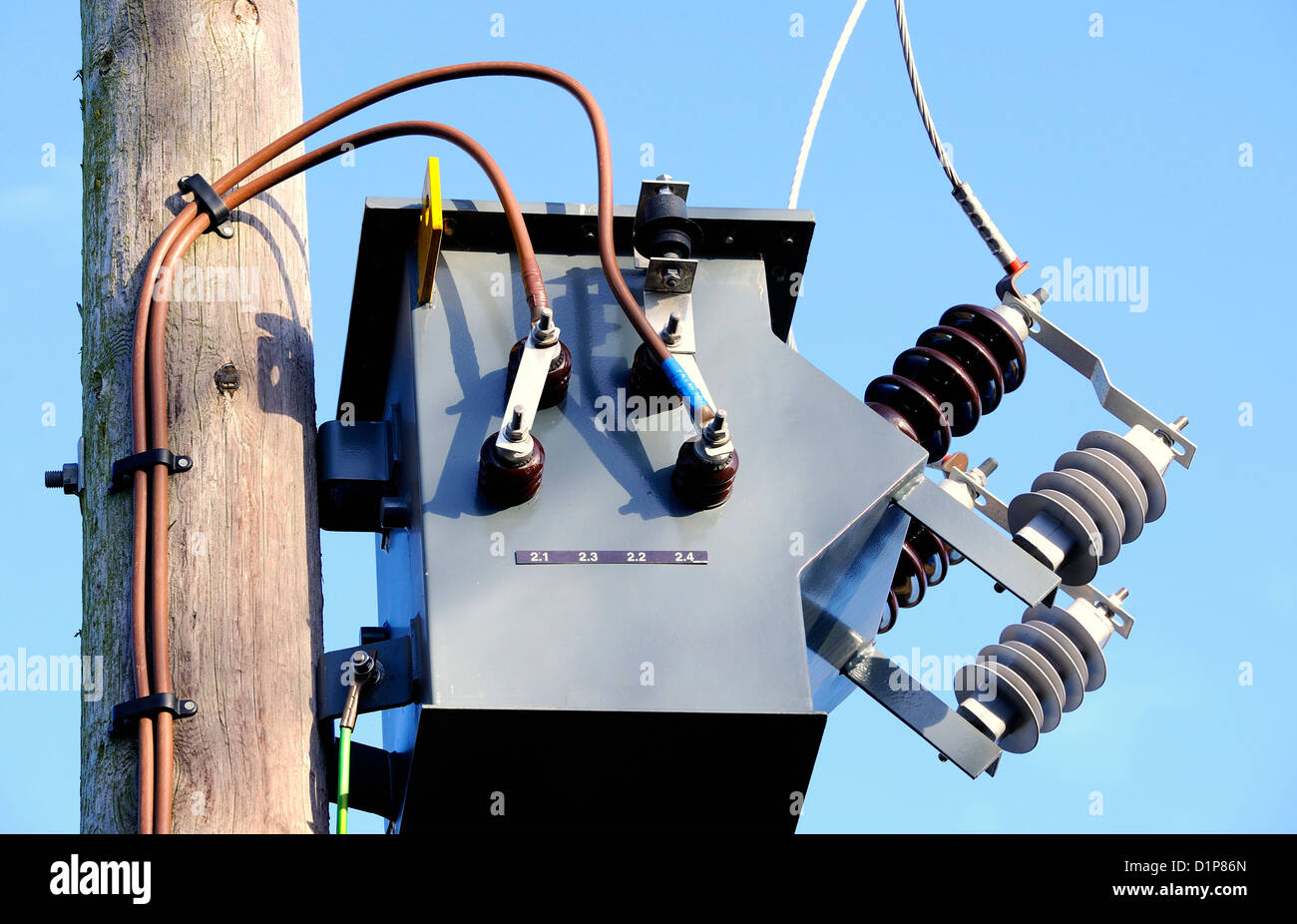 11 KV pole mounted two phase transformer with ceramic insulators and ...