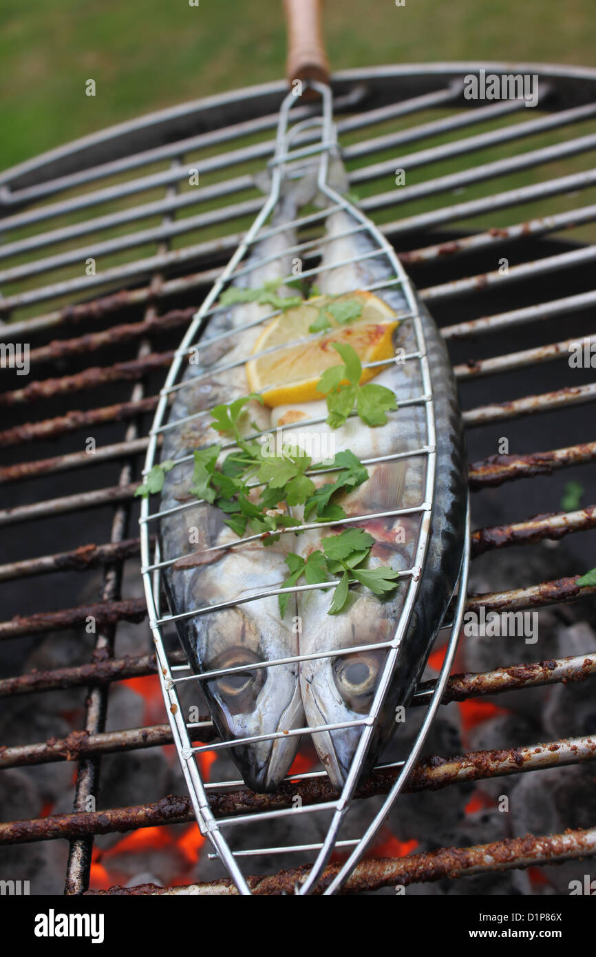 Fish grilling on a barbecue Stock Photo - Alamy