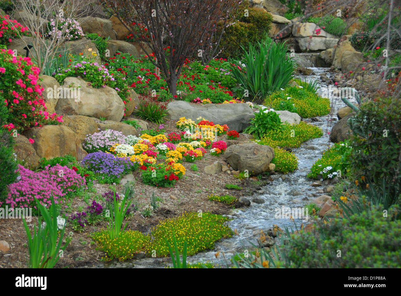 Rock feature garden flowers hi-res stock photography and images - Alamy