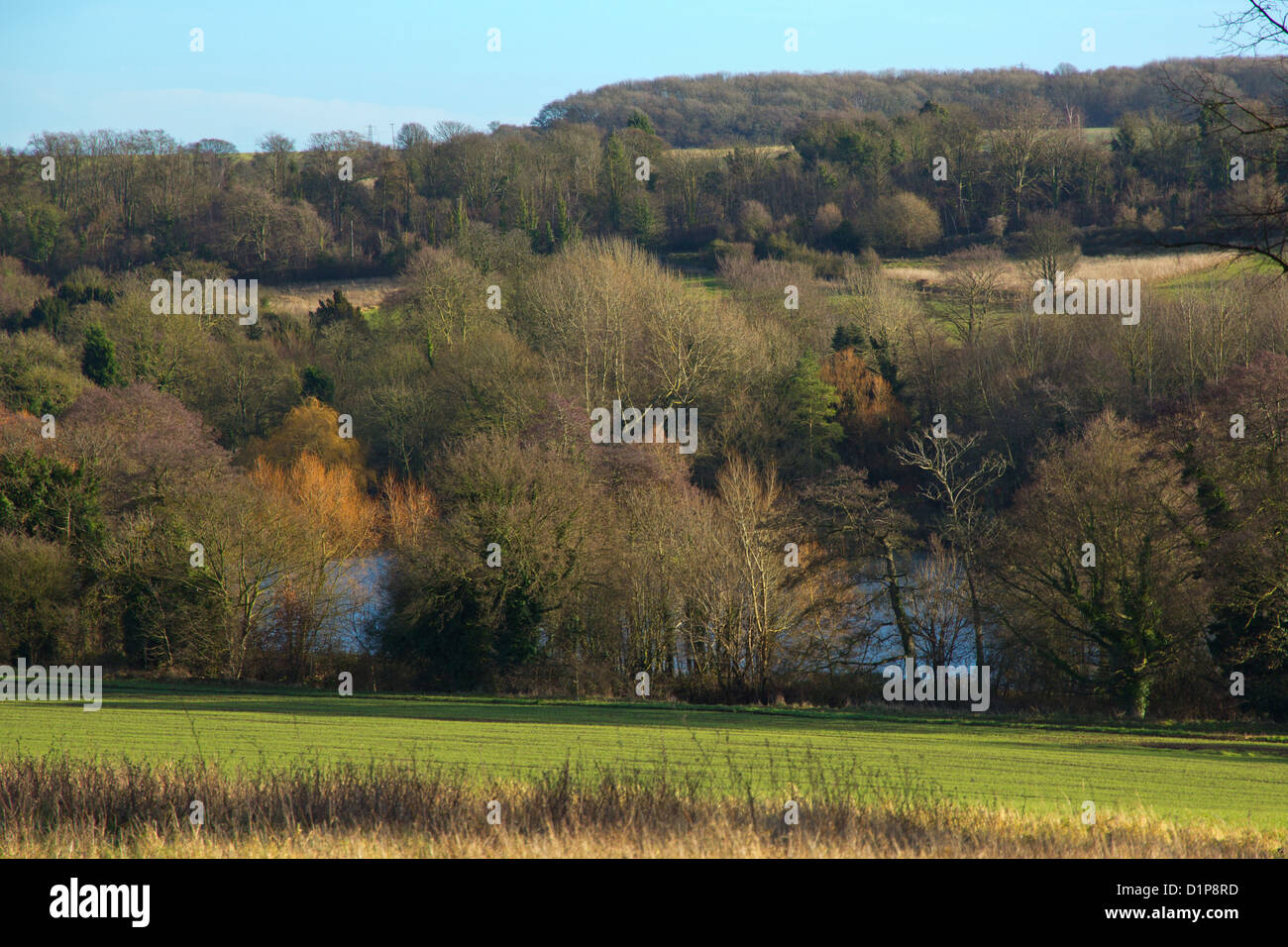 Lullingstone park hi-res stock photography and images - Alamy
