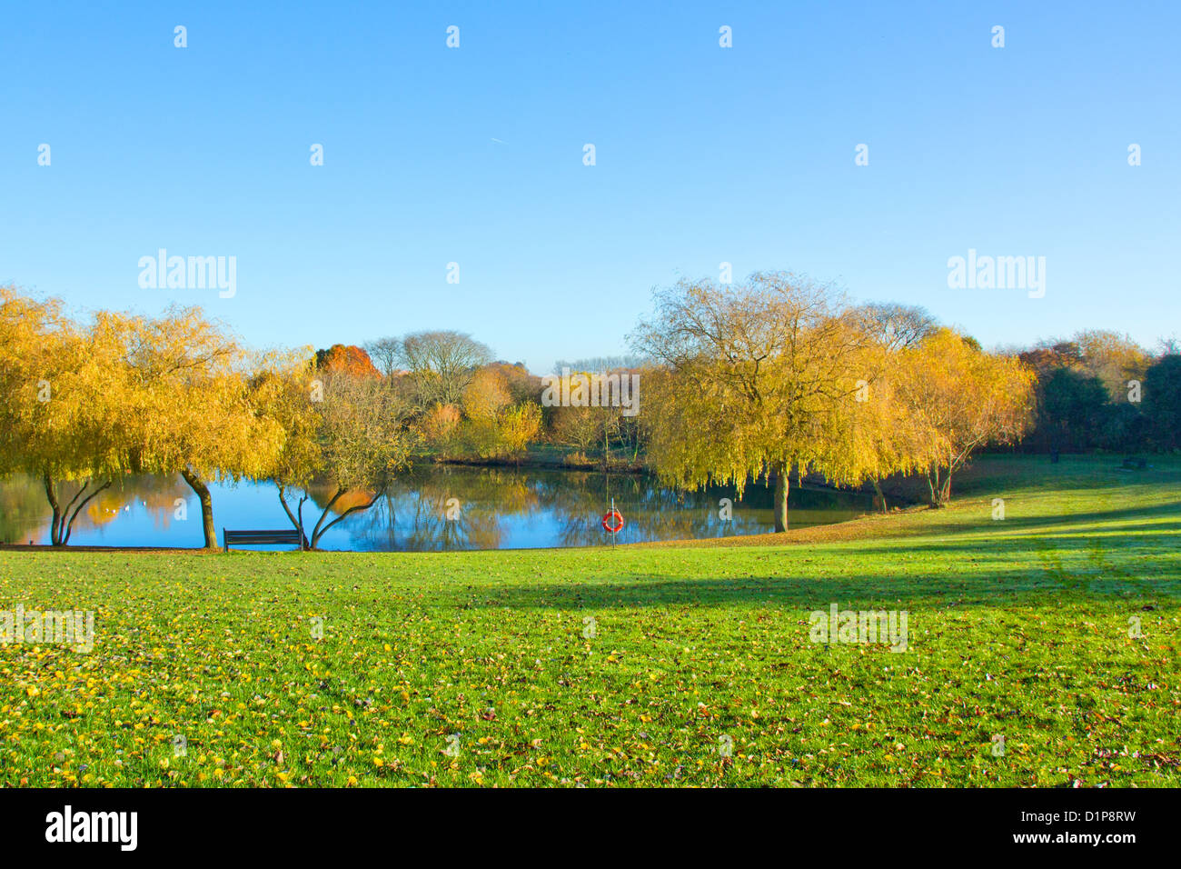 Early morning view of Swanley Park in Kent Stock Photo - Alamy