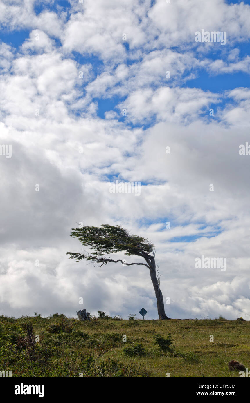 Warped clouds High Resolution Stock Photography and Images - Alamy