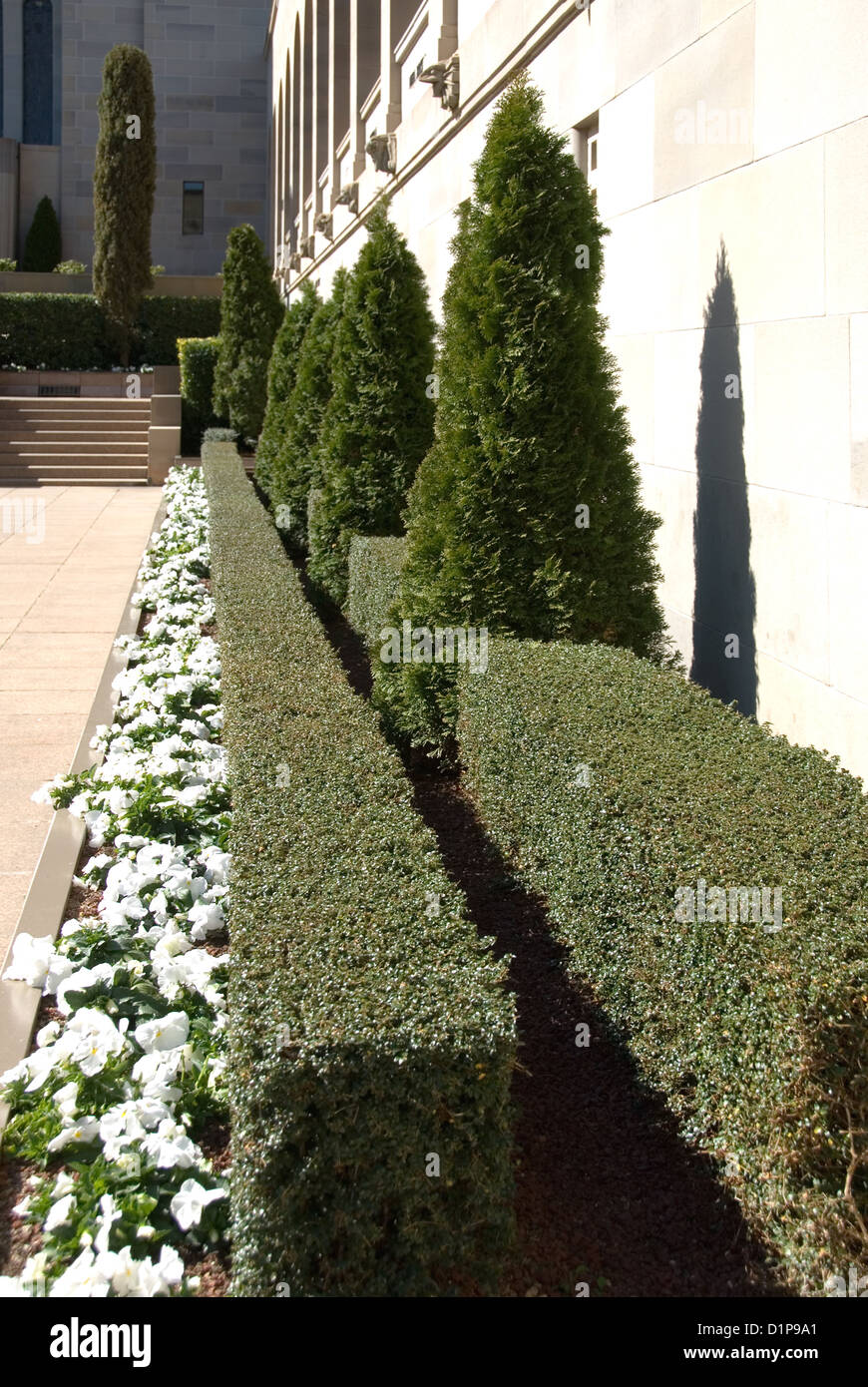 Canberra hedge hi-res stock photography and images - Alamy