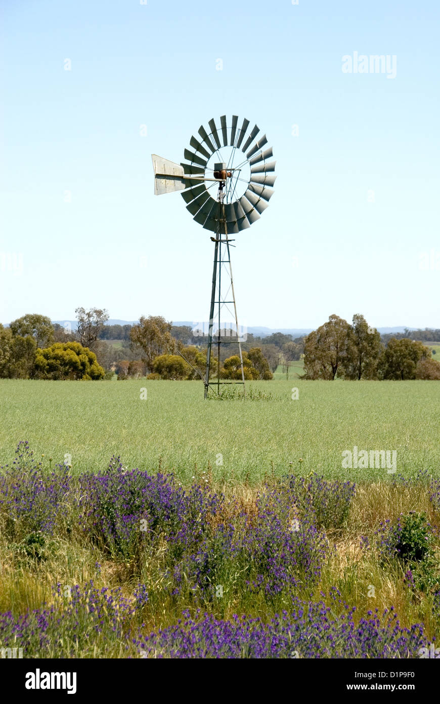 Windmill in a Field Stock Photo - Alamy