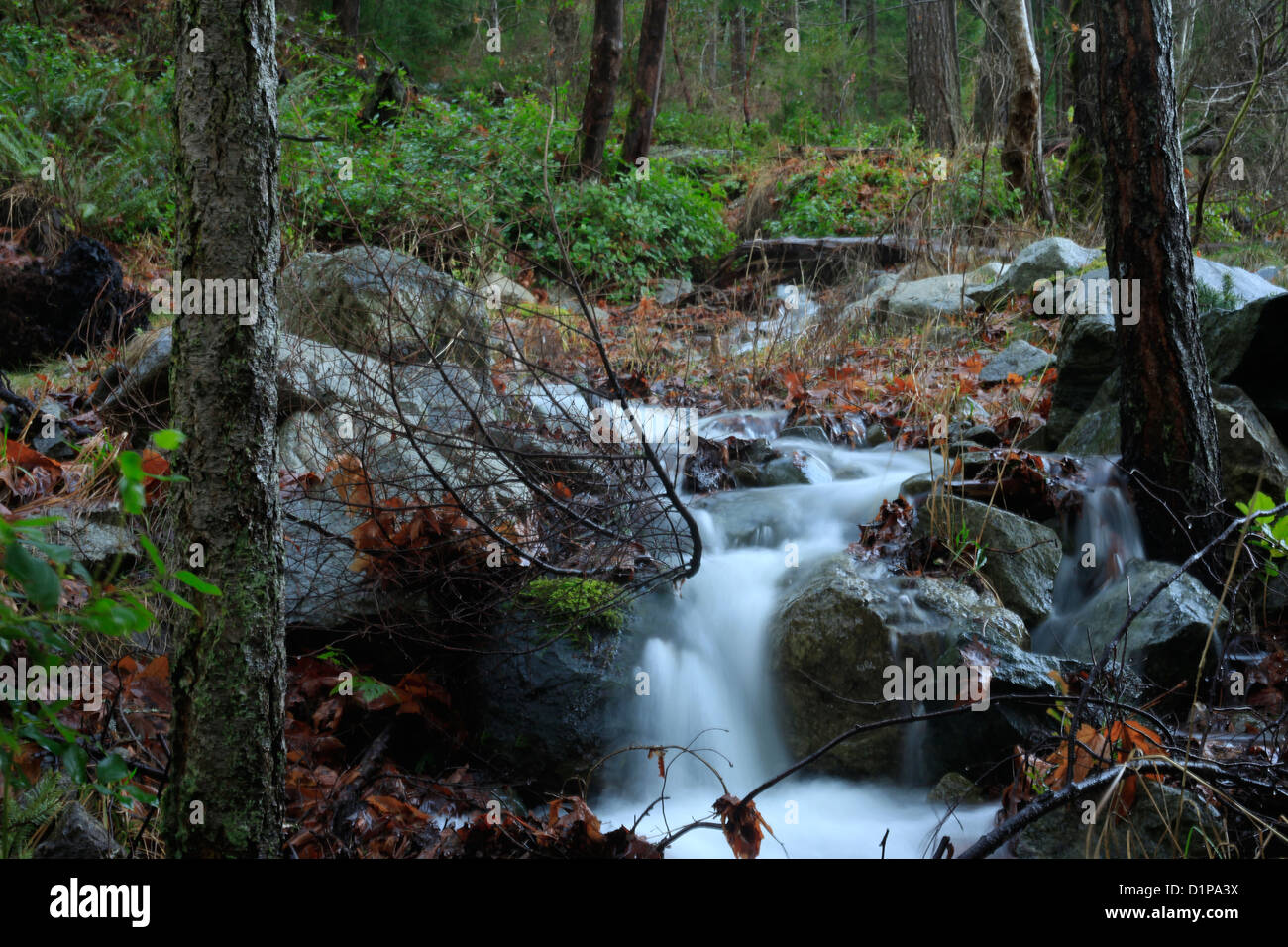 Salt spring island canada hi-res stock photography and images - Alamy