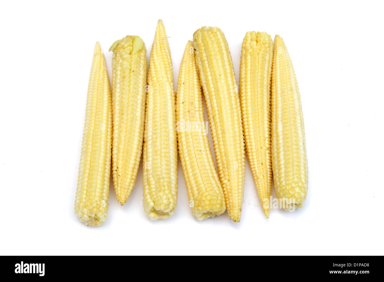 Baby Corn Vegetable High Resolution Stock Photography and Images - Alamy