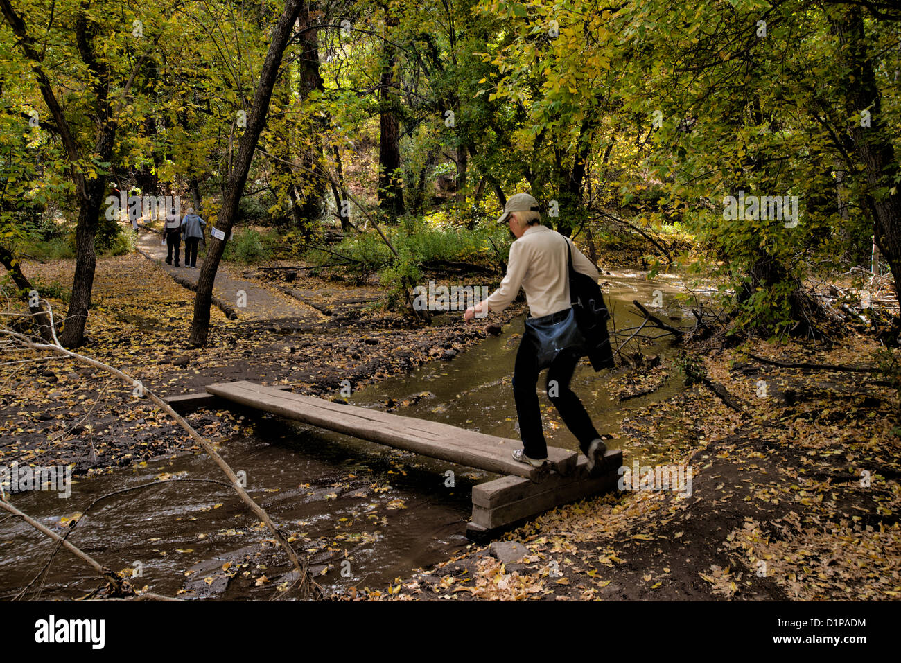 Split log footbridge in Bandelier National Monument crossing small ...