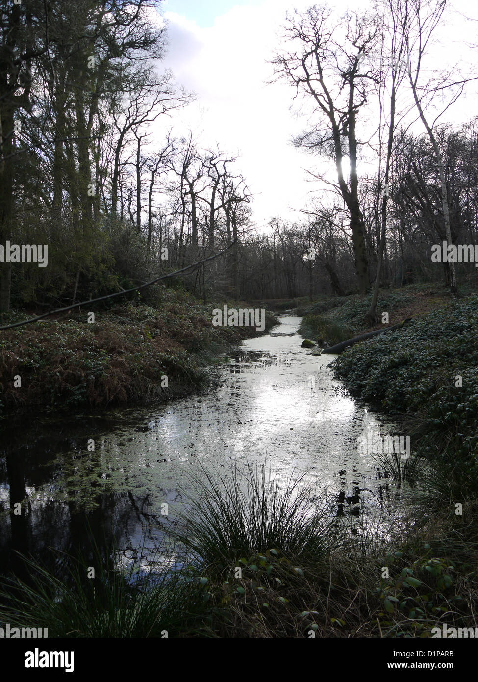 Camlet hi-res stock photography and images - Alamy