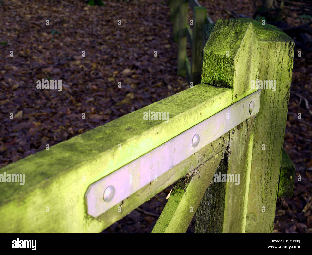 Green Algae covered gate Stock Photo - Alamy